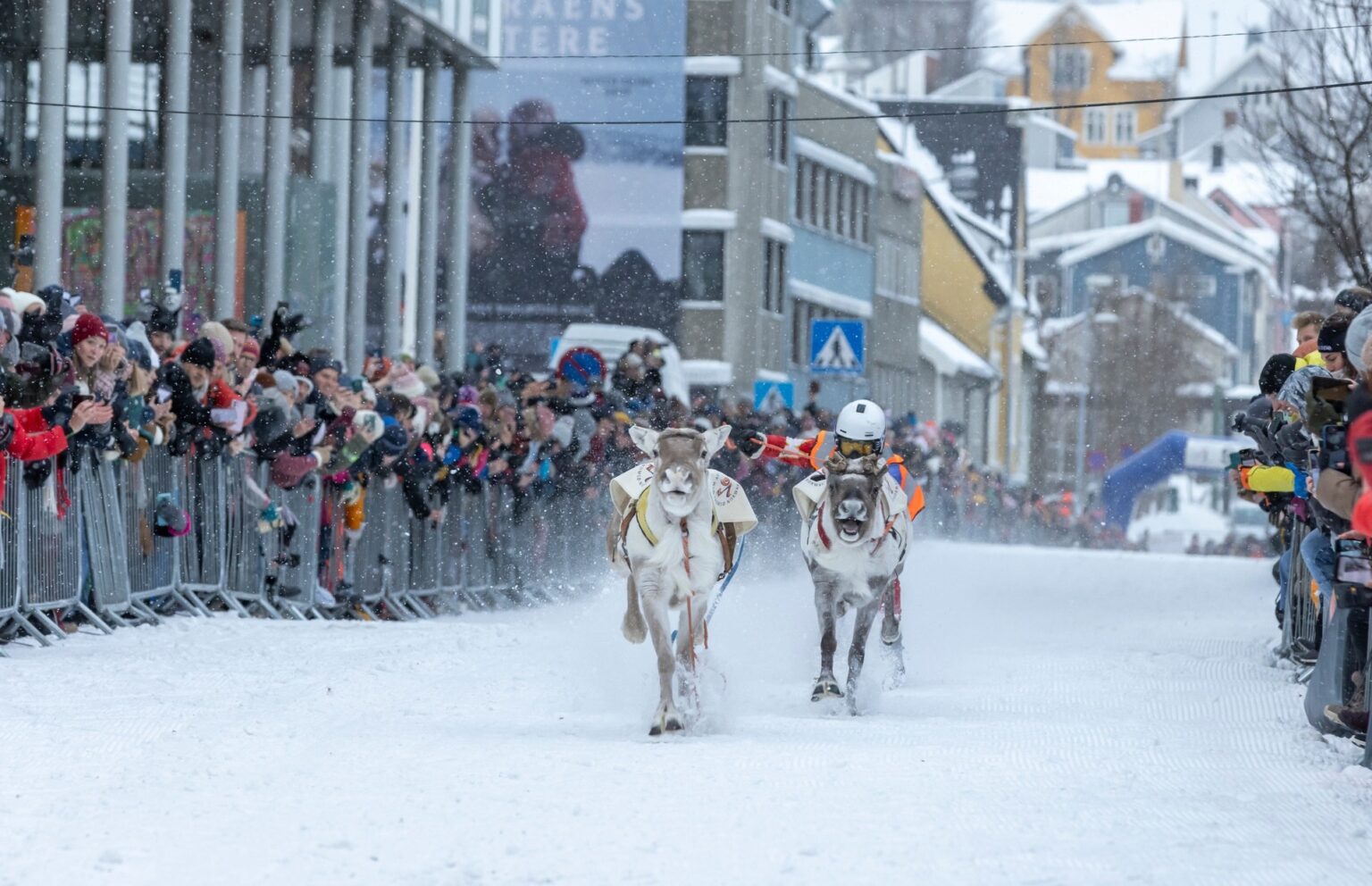 Sami week in Tromsø - Midnight Sun Marathon